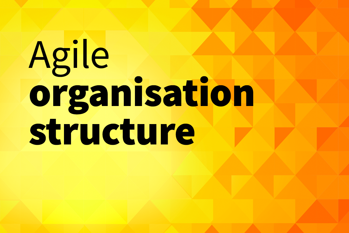 Agile Organisation Structure - Solutioneers